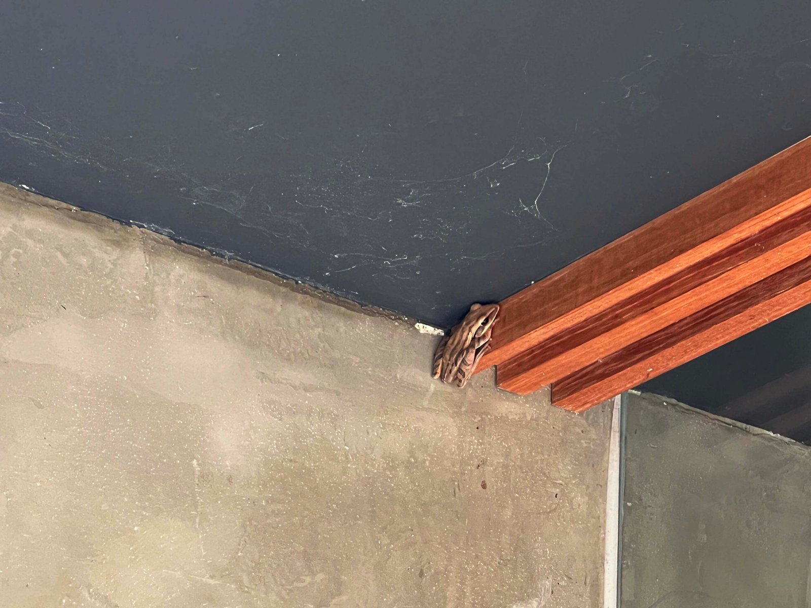 오키나와 북부 감성숙소추천 가와세미노스 KAWASEMINOSU MUKAKA VILLA